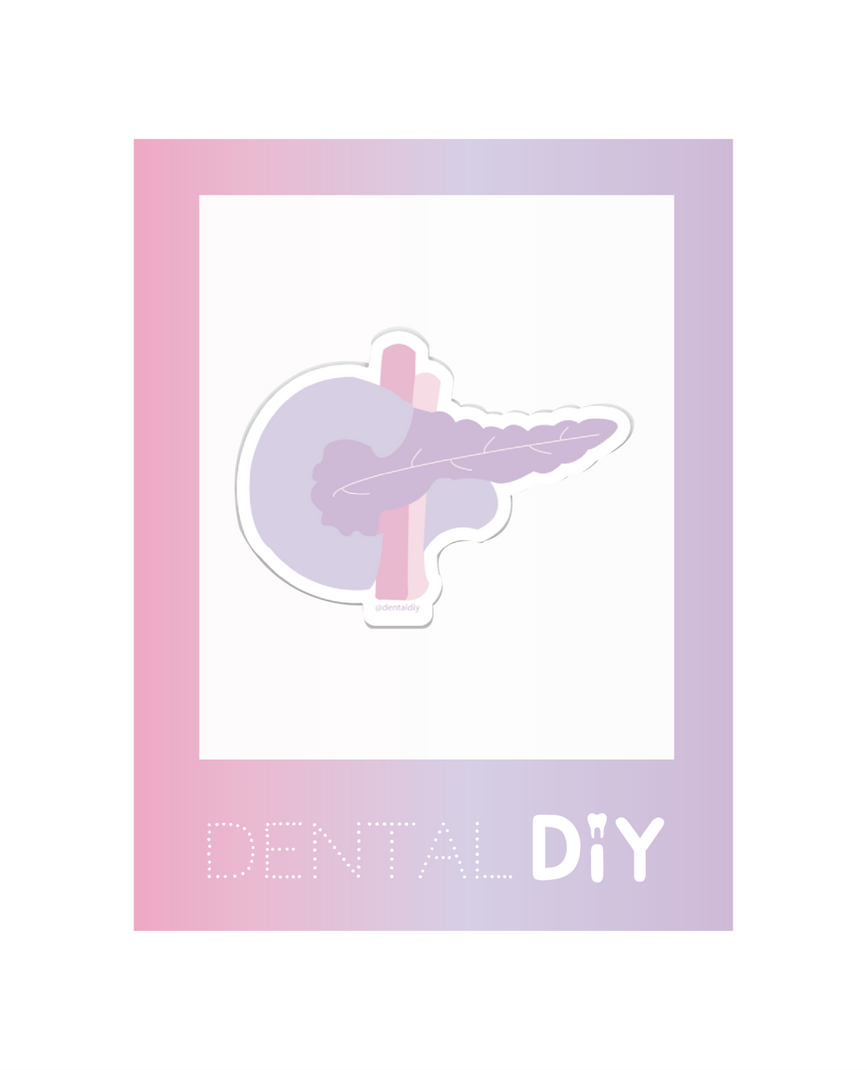 Pancreas Sticker – dentaldiyshop