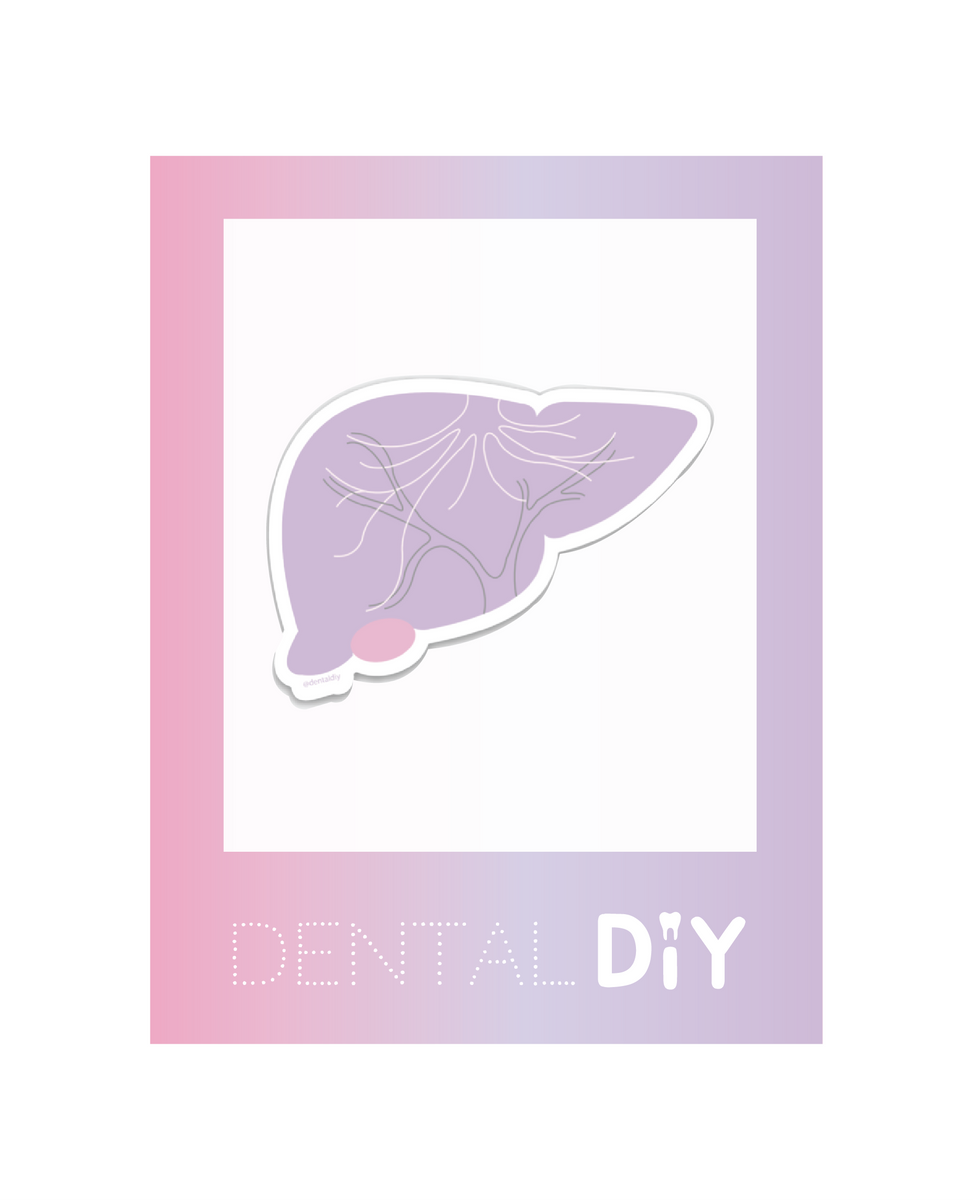 Liver Sticker – dentaldiyshop