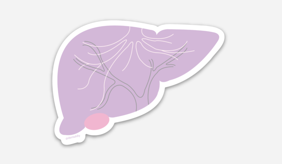 Liver Sticker – dentaldiyshop